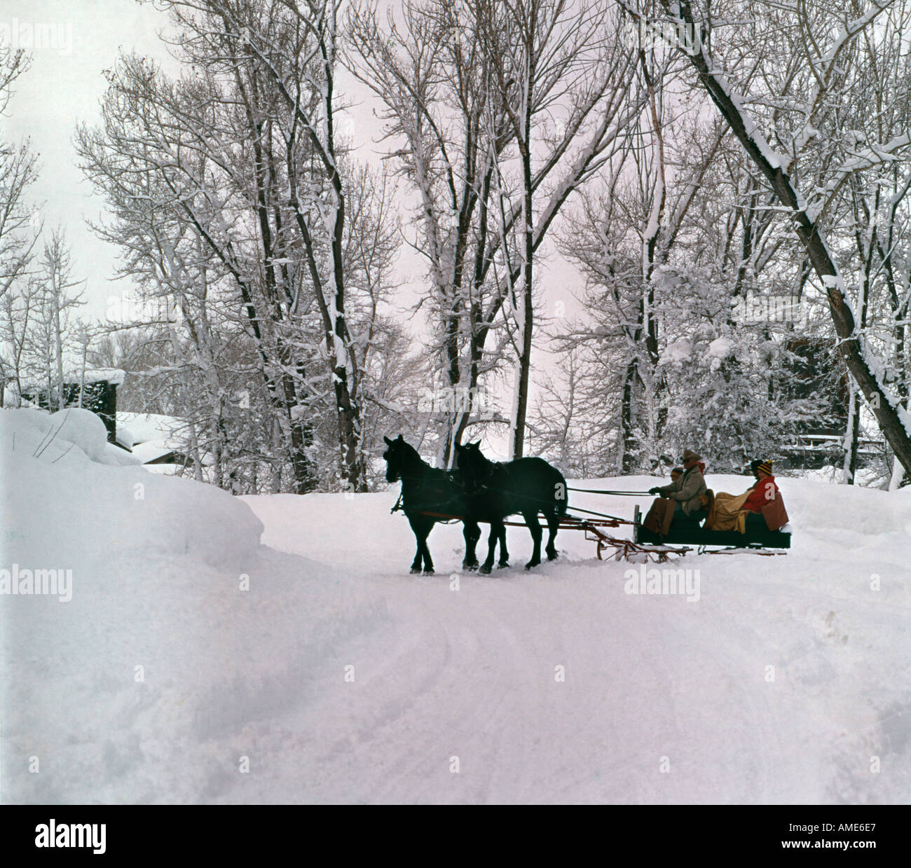 Sleigh riding in a wintry scene A family outing in the snow Stock Photo ...