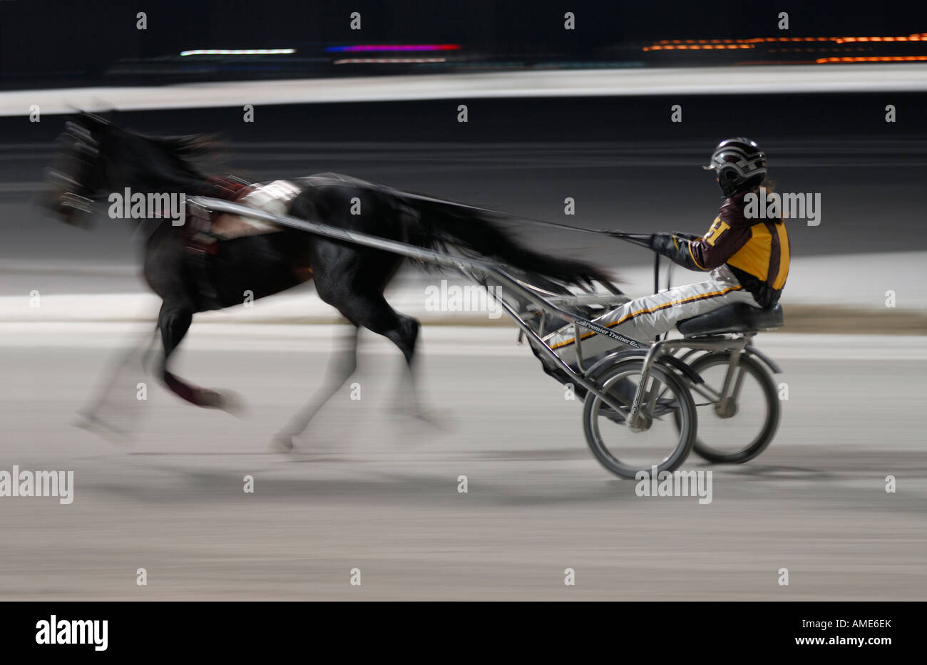 Standardbred pacer hi-res stock photography and images - Alamy