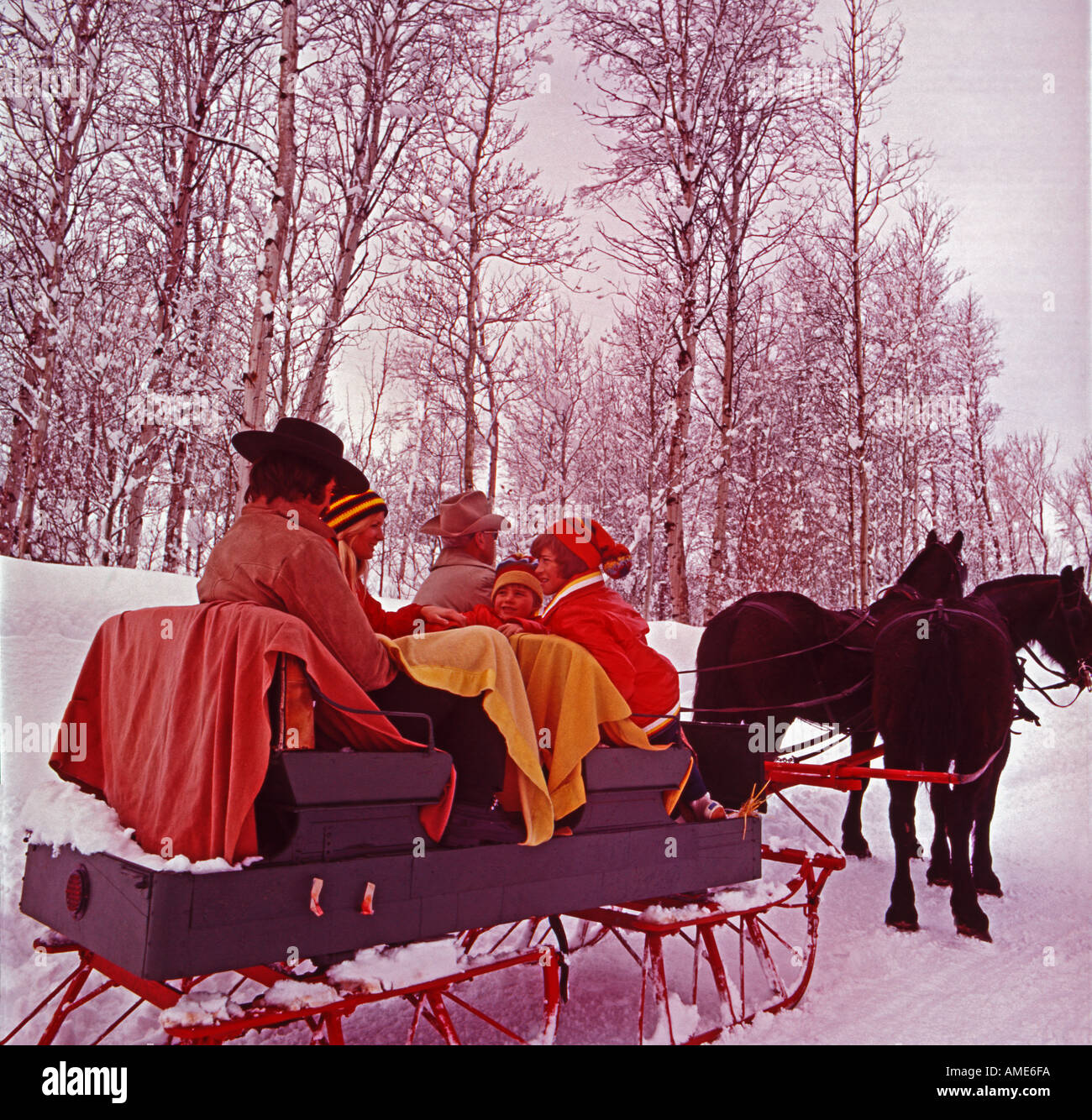 Winter snow team horses hi-res stock photography and images - Alamy