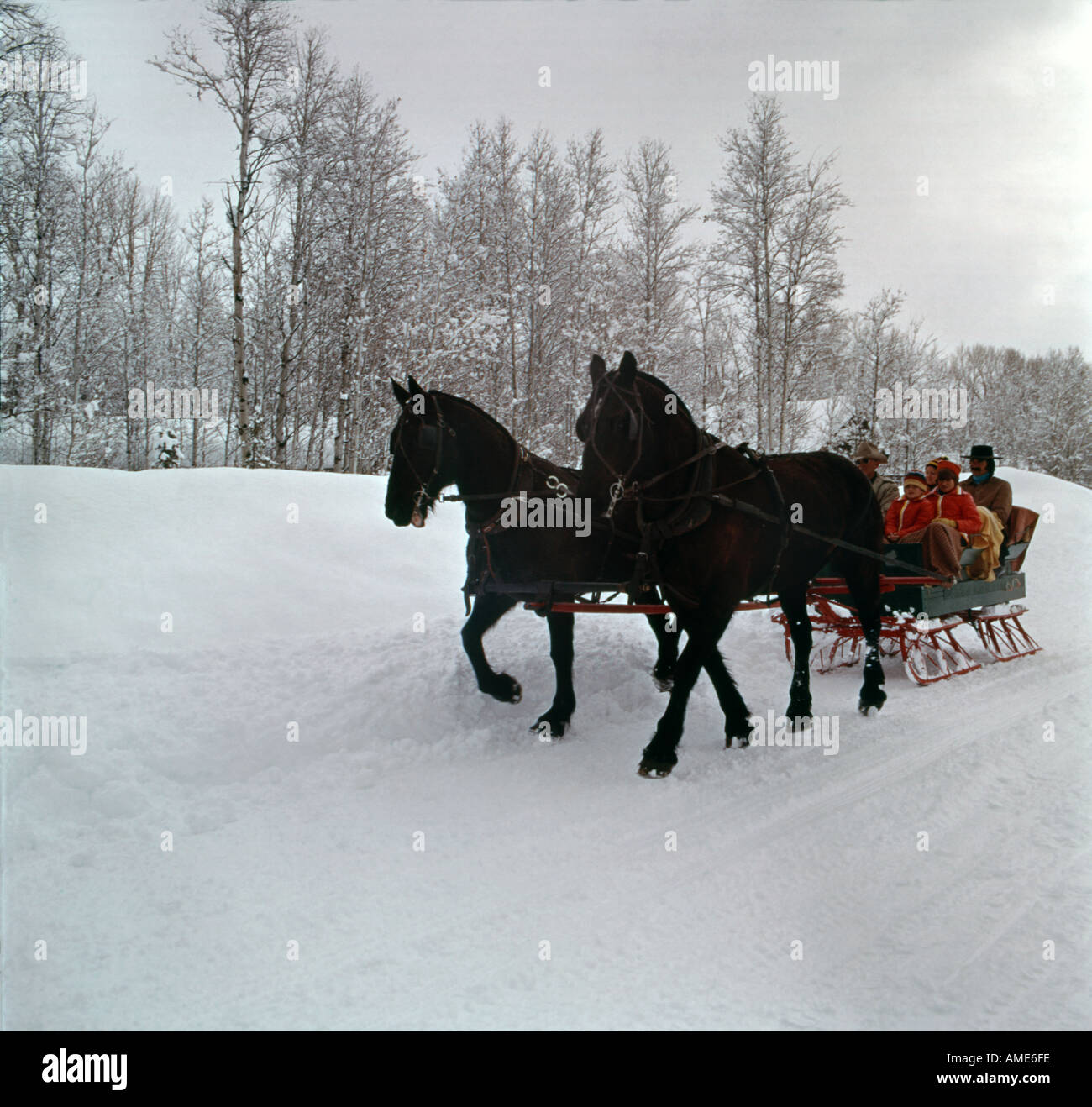 Sleigh ride hi-res stock photography and images - Alamy