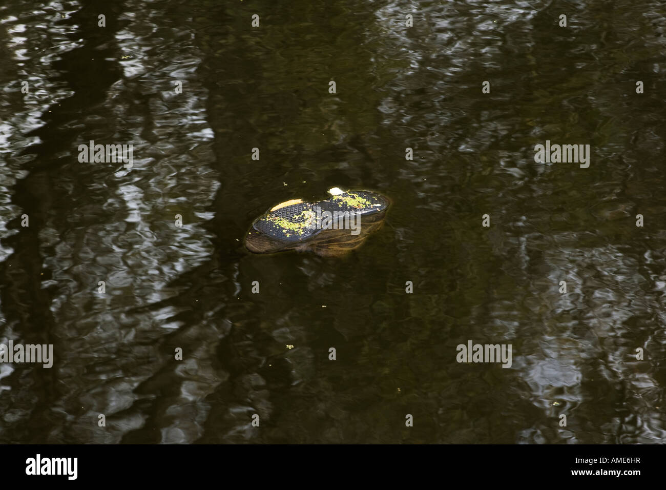 Upside down boot hi-res stock photography and images - Alamy