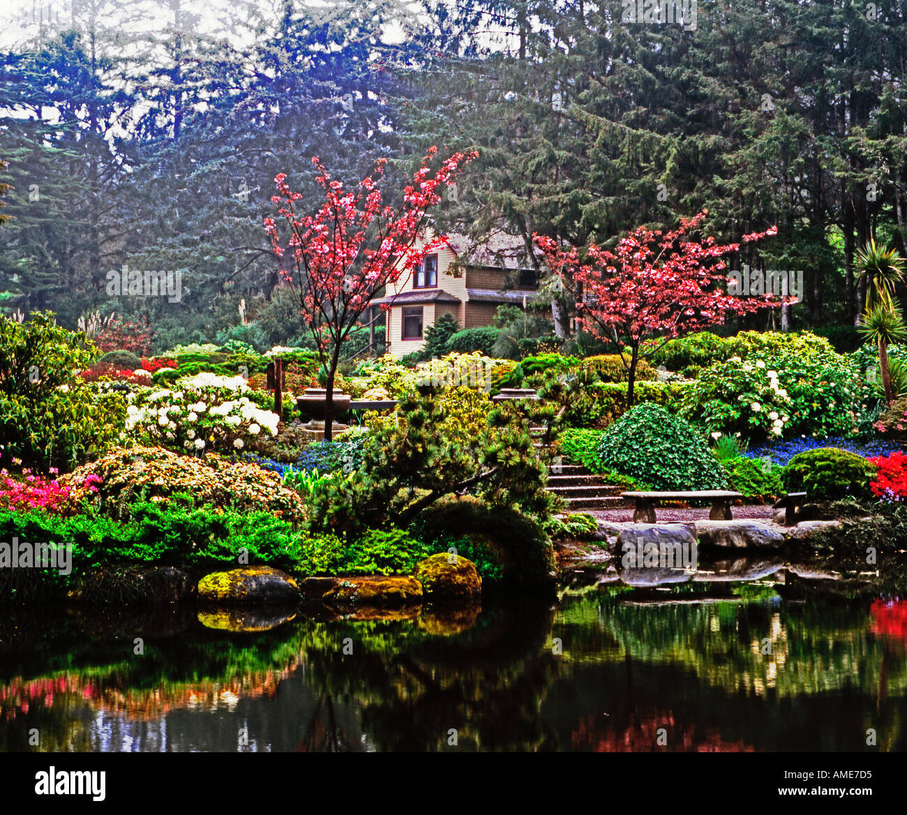 Shore Acres Botanical Garden High Resolution Stock Photography and ...