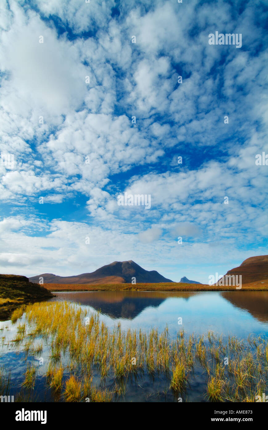 Reeds on small Scottish Lochan an Ais Sutherland Wester Ross North West ...