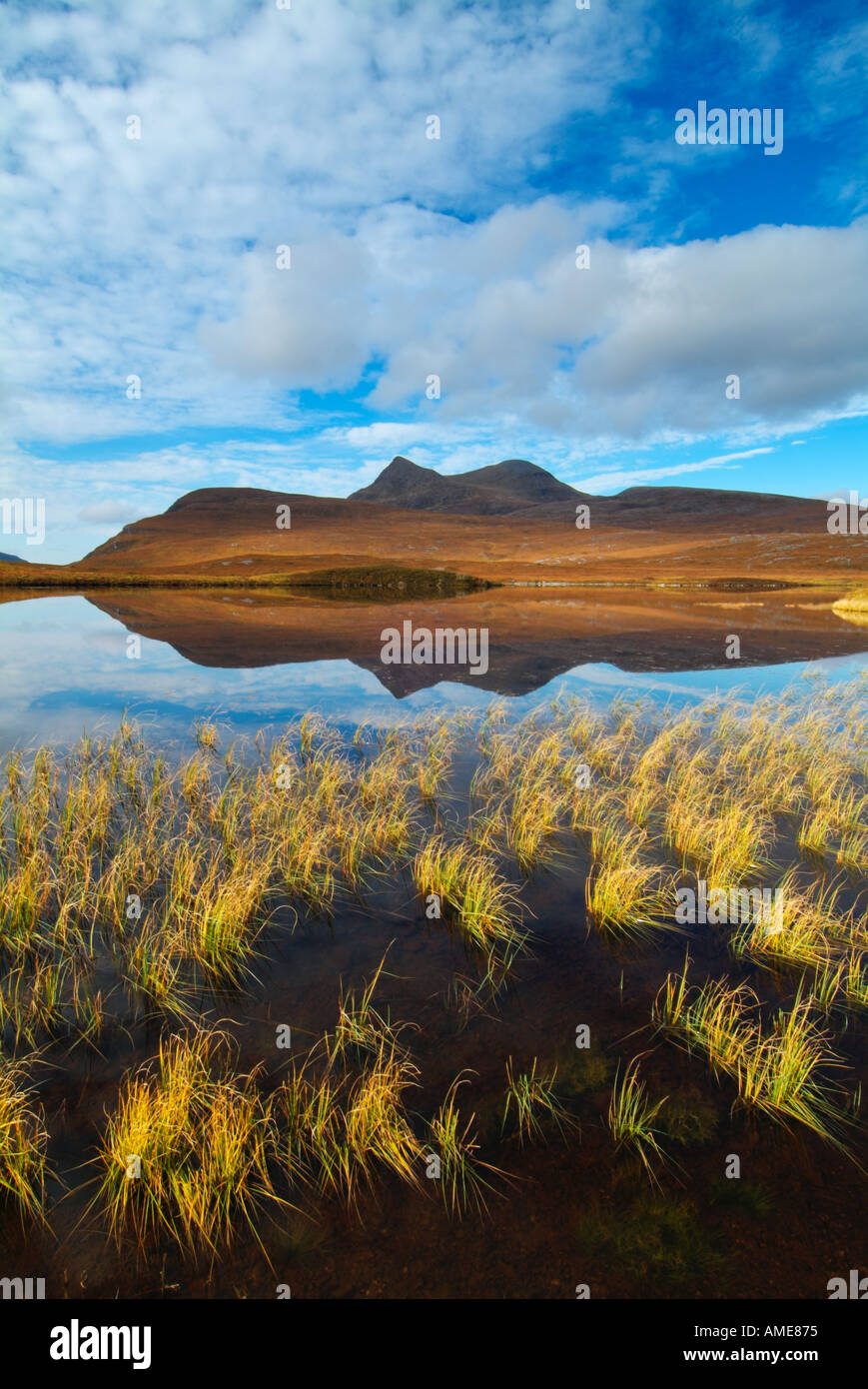 Reeds on small Scottish Lochan an Ais Sutherland Wester Ross North West ...