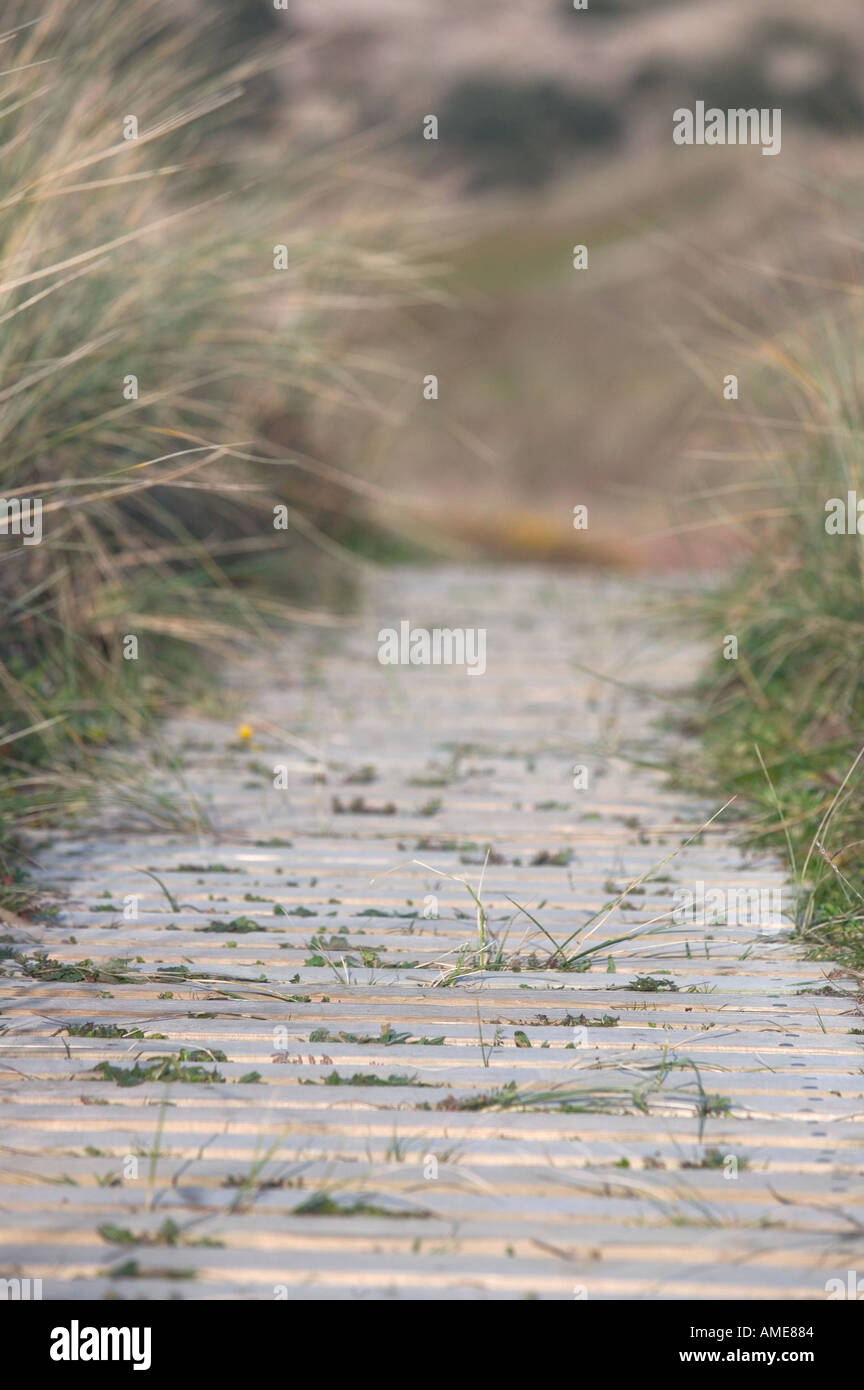 Beach Pathway heading away from the camera Stock Photo - Alamy