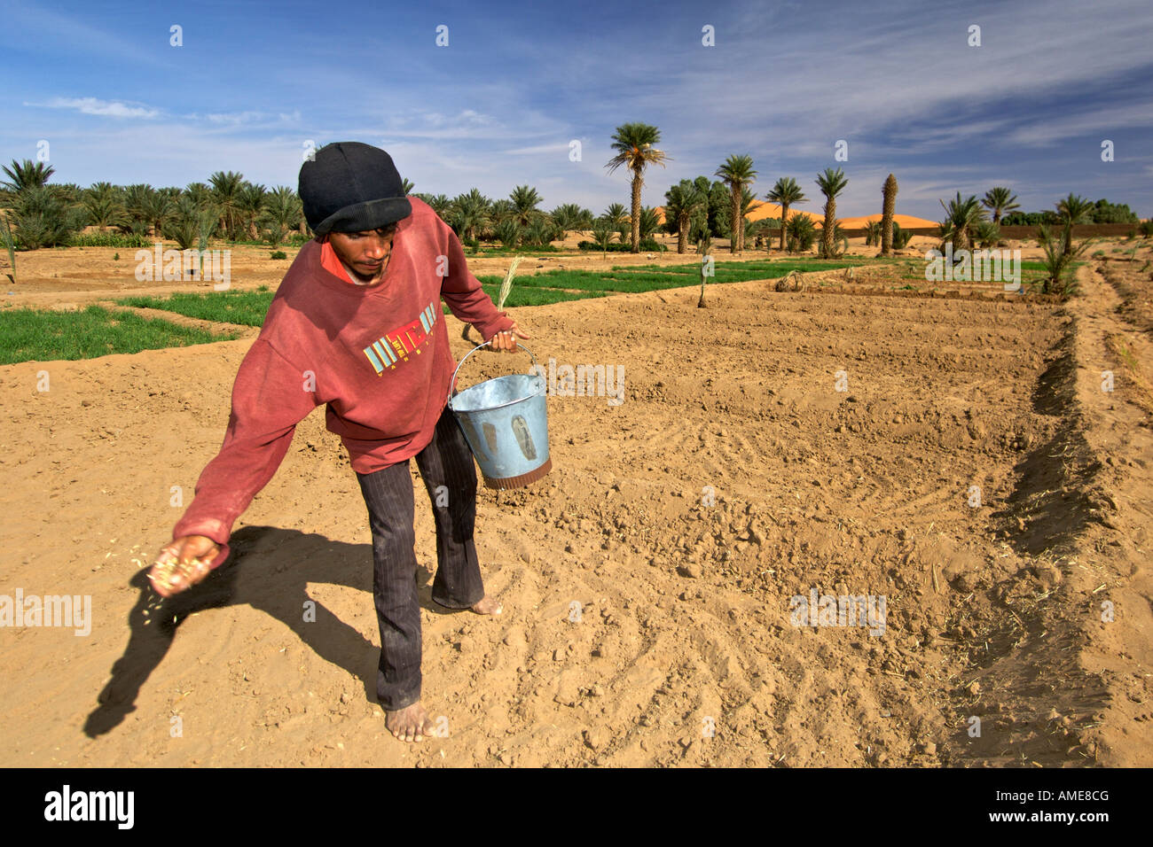 Man sowing seeds hi-res stock photography and images - Alamy