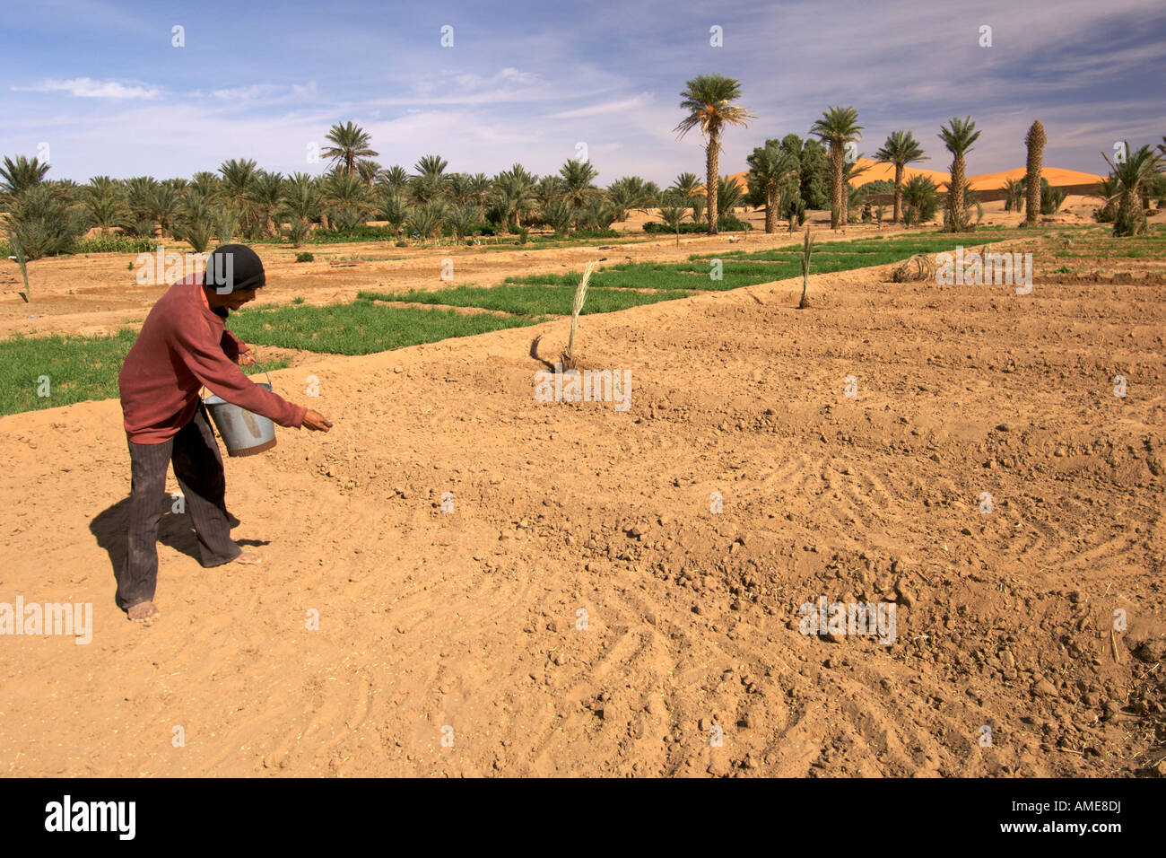 Man sowing seeds hi-res stock photography and images - Alamy