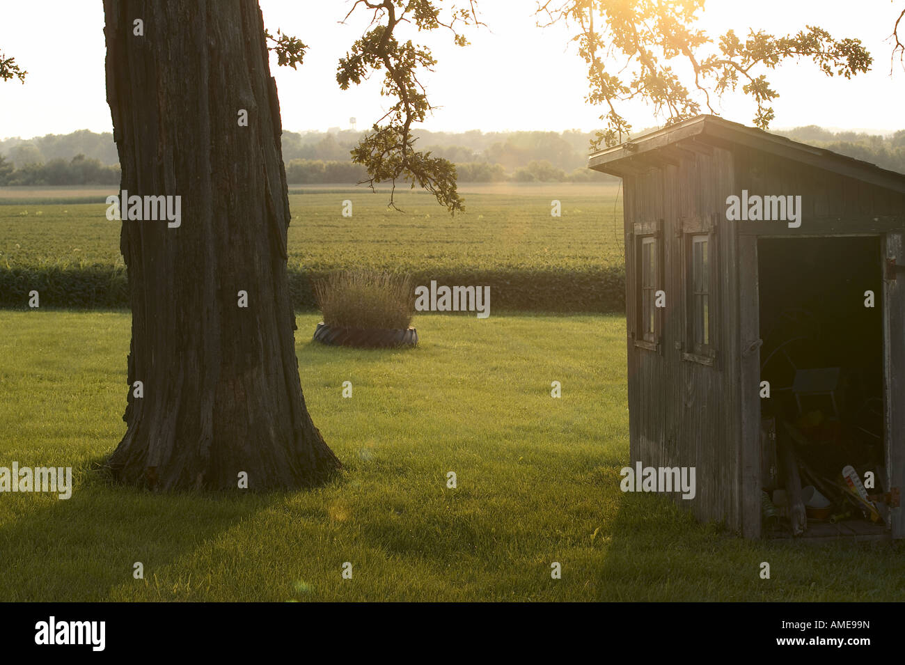 Tire storage yard hi-res stock photography and images - Alamy