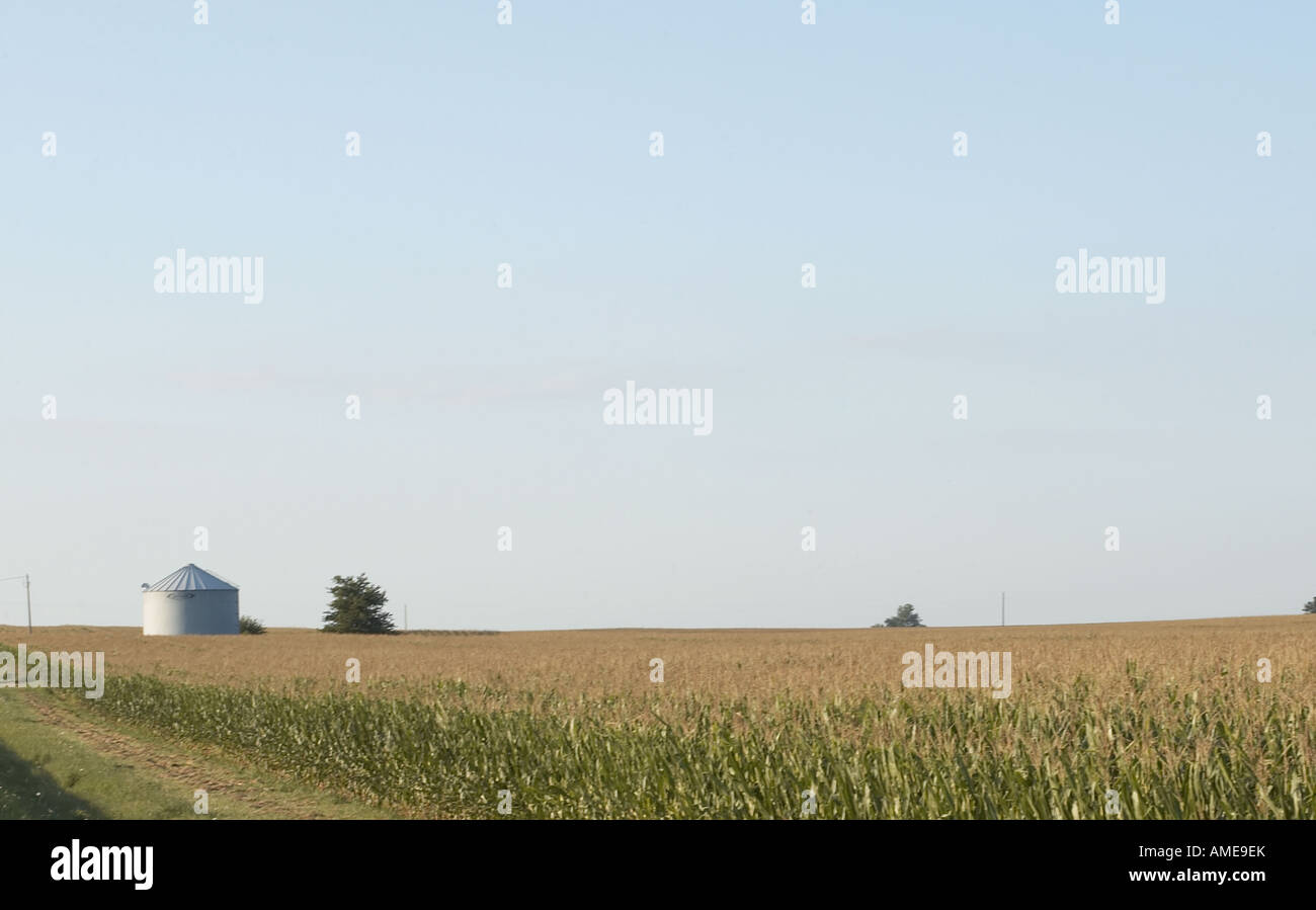American corn field hi-res stock photography and images - Alamy