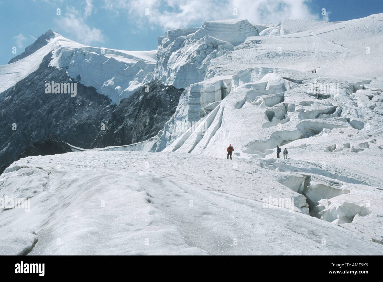 mountaineers on glacier at the Ortler, Italy Stock Photo - Alamy