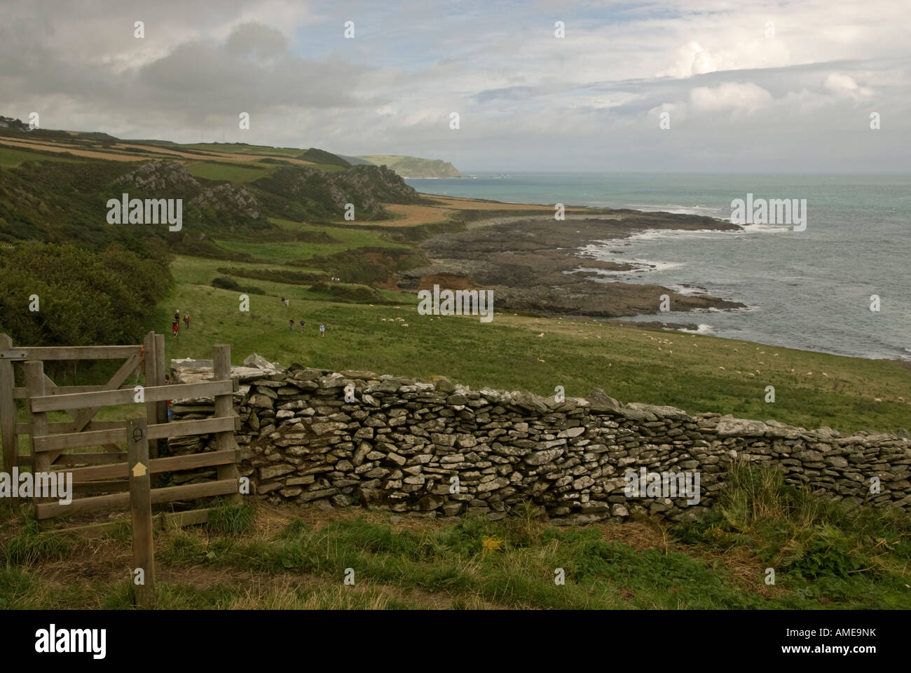South Devon Coast Path, Prawle Point, Devon, England Stock Photo - Alamy