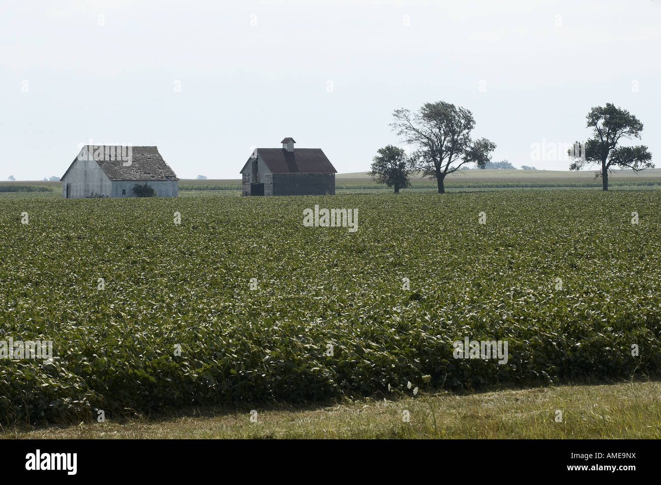 Farming the plains west hi-res stock photography and images - Alamy