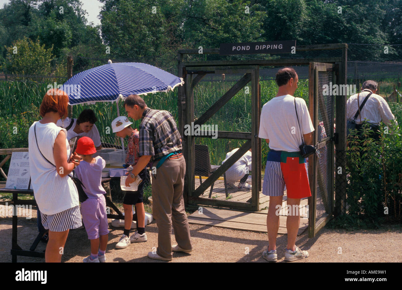 Pond dipping children hi-res stock photography and images - Alamy