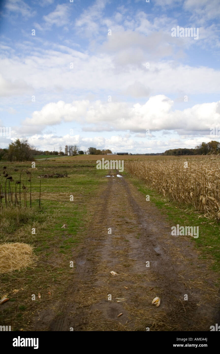 Muddy puddle rut blue hi-res stock photography and images - Alamy