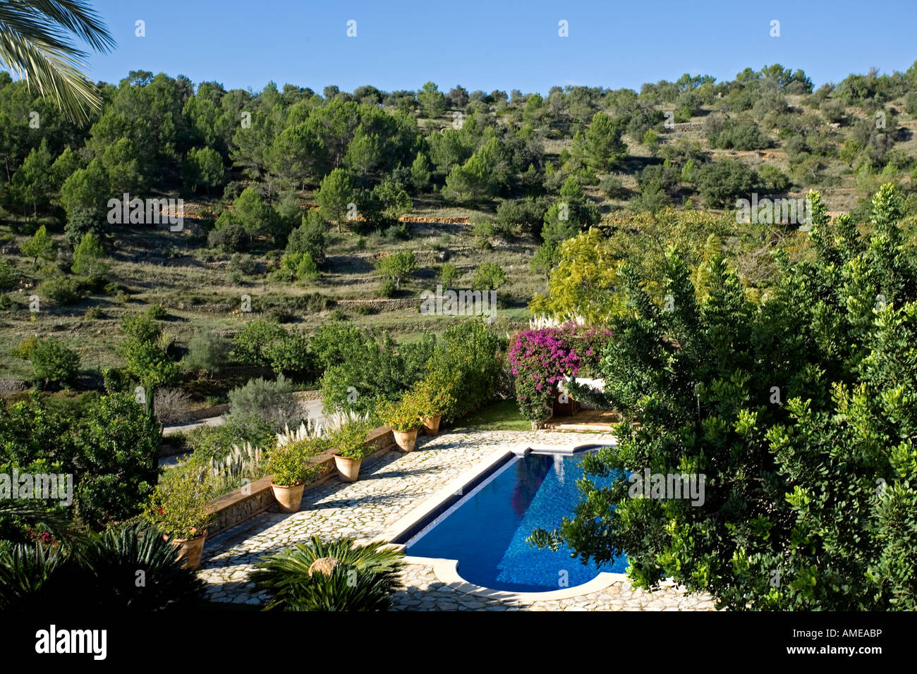 Garden and swimming pool. Alaro. Mallorca Island. Spain Stock Photo - Alamy