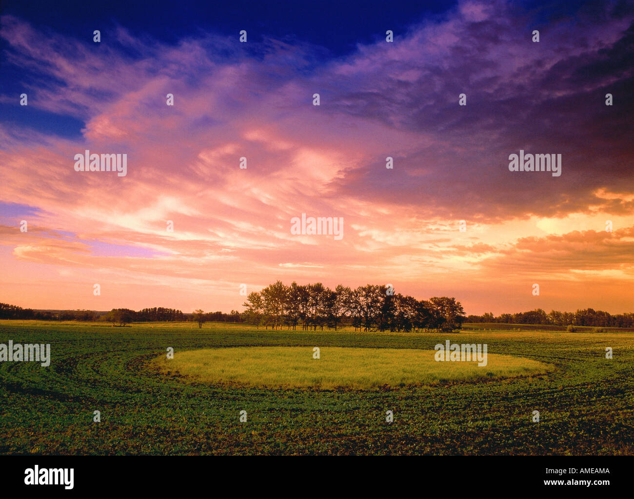 Sunset Rural Alberta, Canada Stock Photo - Alamy