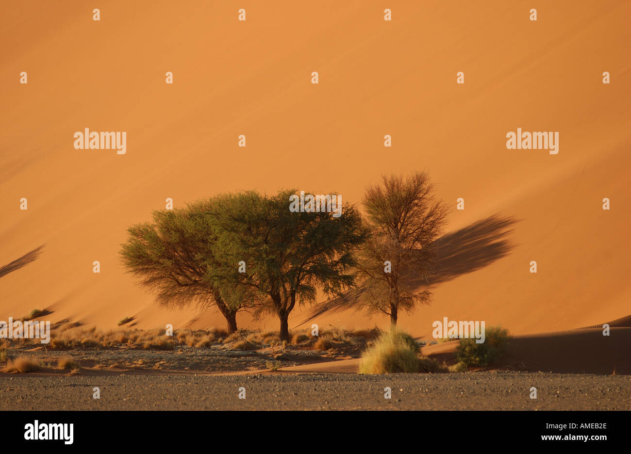 Sand Dunes Namibian Desert Stock Photo - Alamy