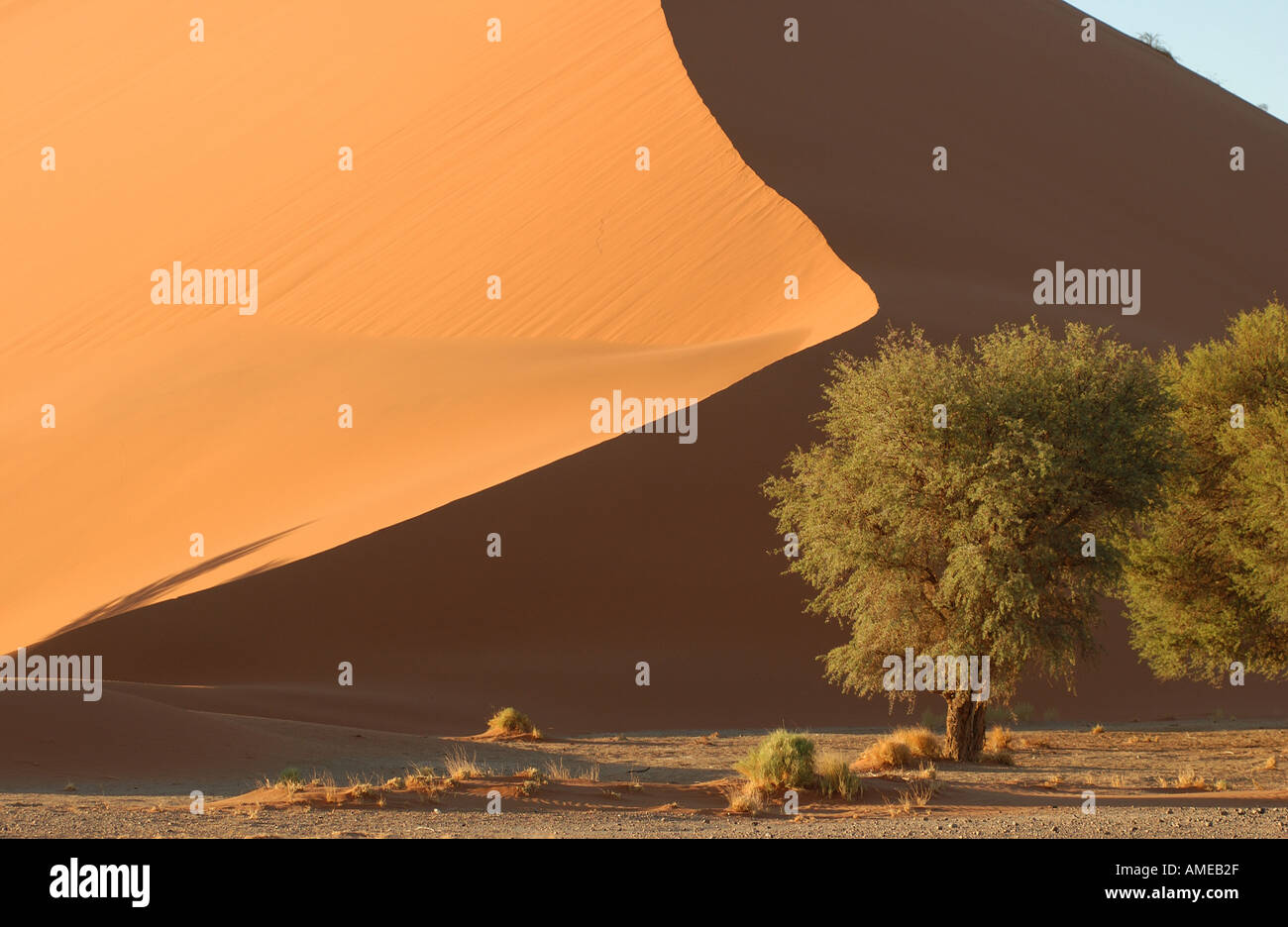Sand Dunes Namibian Desert Stock Photo - Alamy