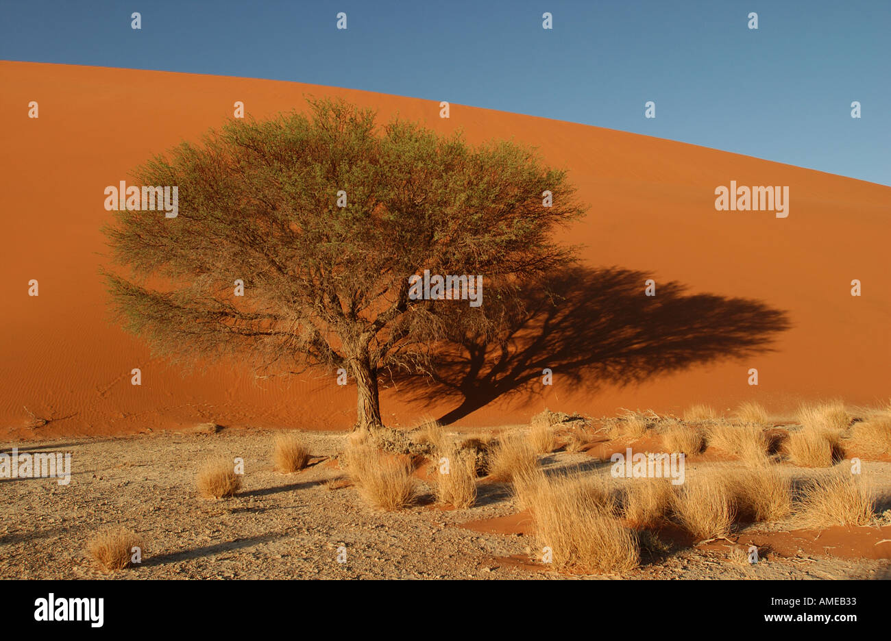 Sand Dunes Namibian Desert Stock Photo - Alamy