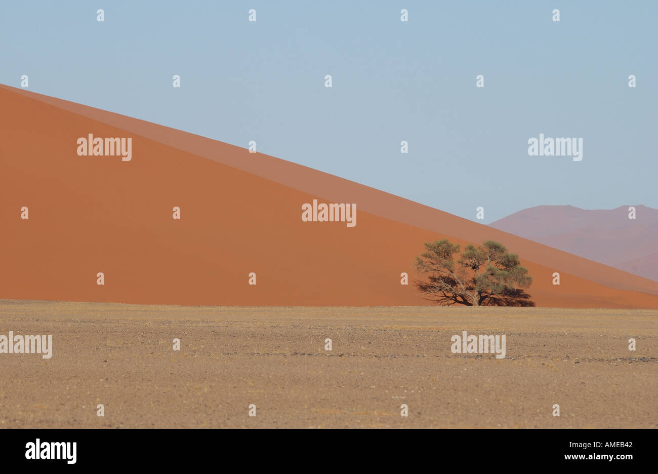 Sand Dunes Namibian Desert Stock Photo - Alamy