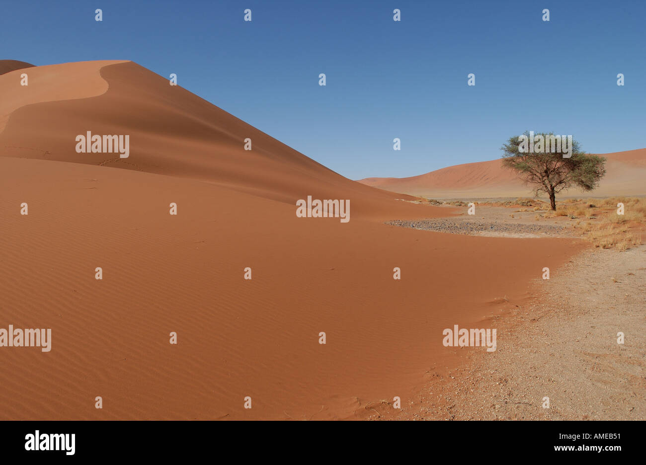 Sand Dunes Namibian Desert Stock Photo - Alamy