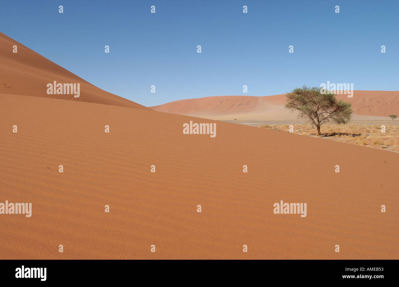 Sand Dunes Namibian Desert Stock Photo - Alamy