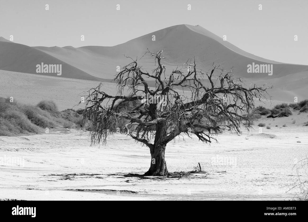 Desert environments Black and White Stock Photos & Images - Alamy