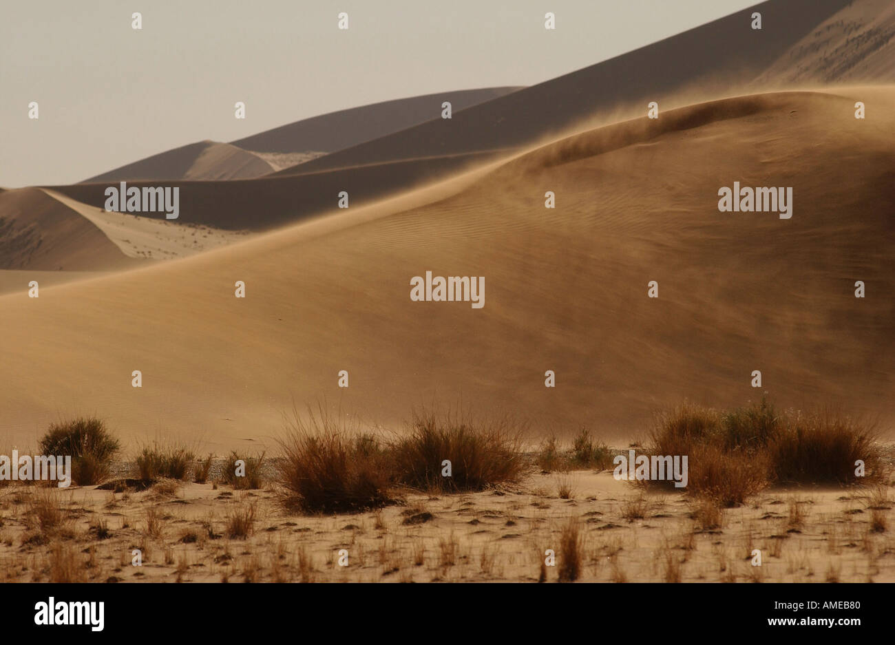 Sand Dunes Namibian Desert Stock Photo - Alamy