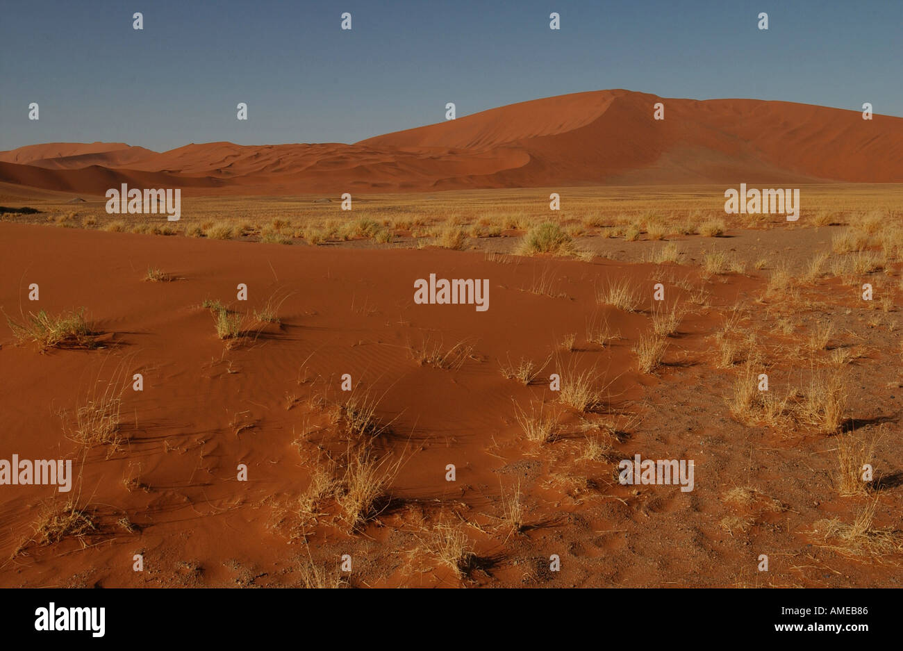 Sand Dunes Namibian Desert Stock Photo - Alamy