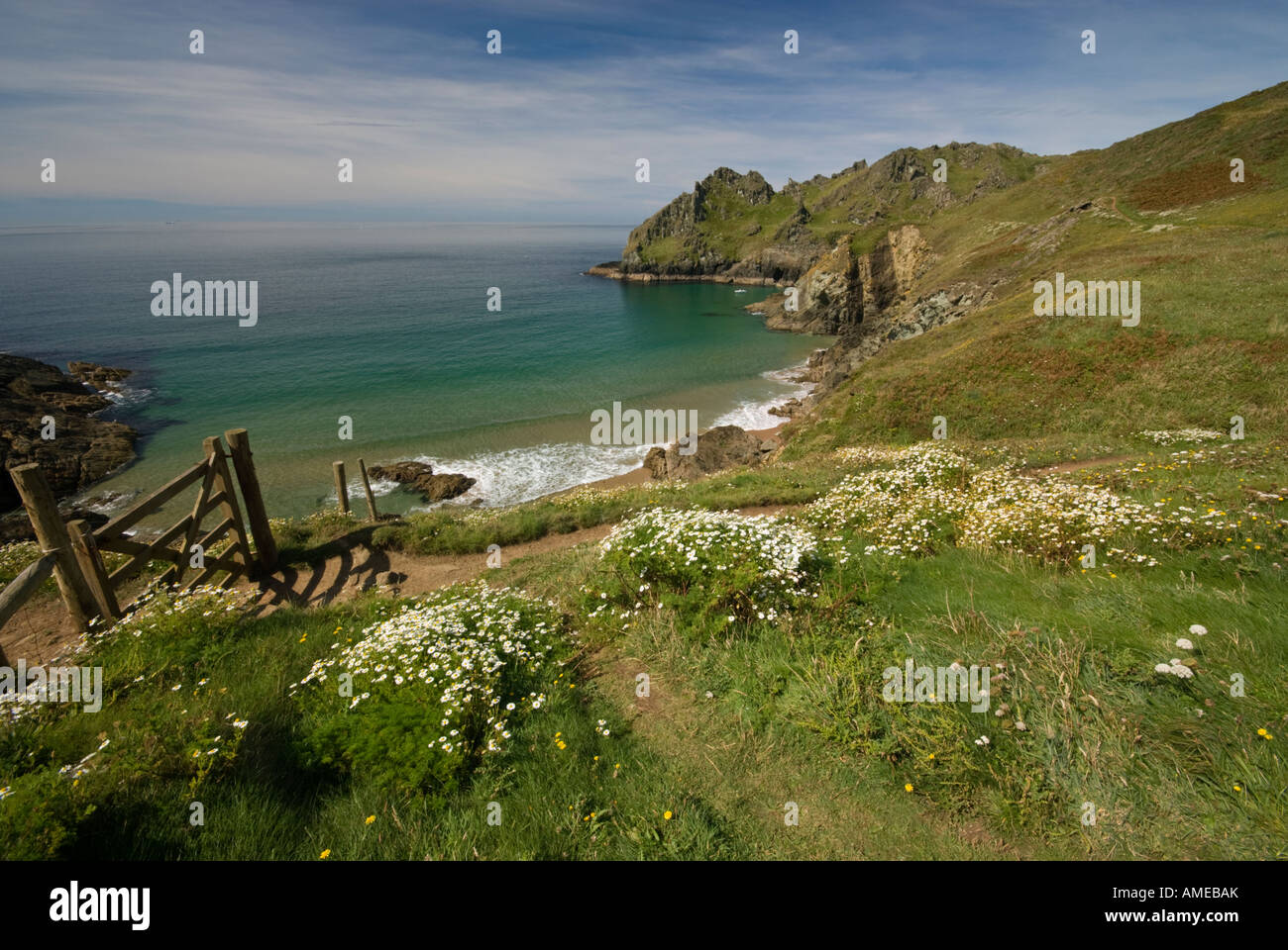 Gammon Head, Devon Stock Photo - Alamy