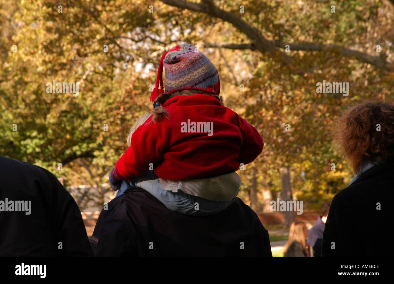 Child sitting on shoulders of adult Stock Photo - Alamy