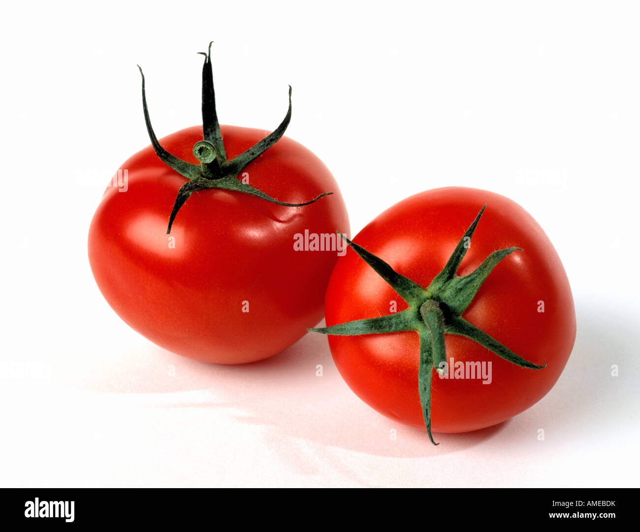 Closeup of two whole Tomatoes on a white background Stock Photo - Alamy