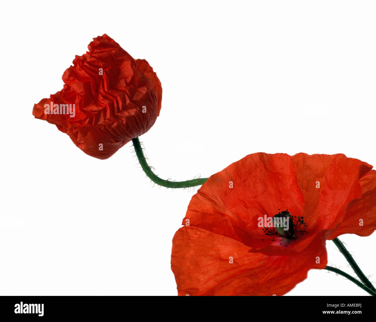War sequence hi-res stock photography and images - Alamy