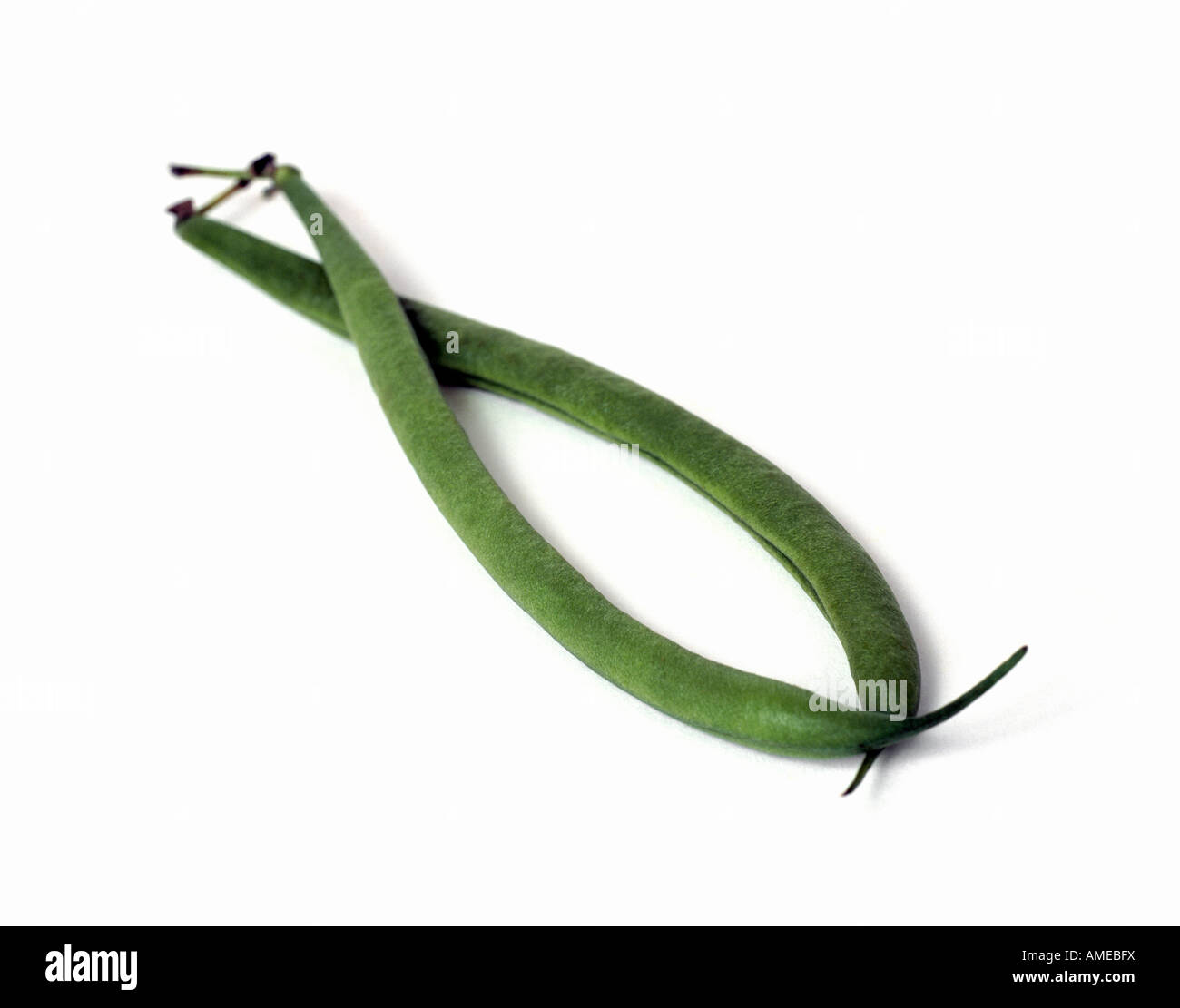 Two green beans on a white background Stock Photo - Alamy