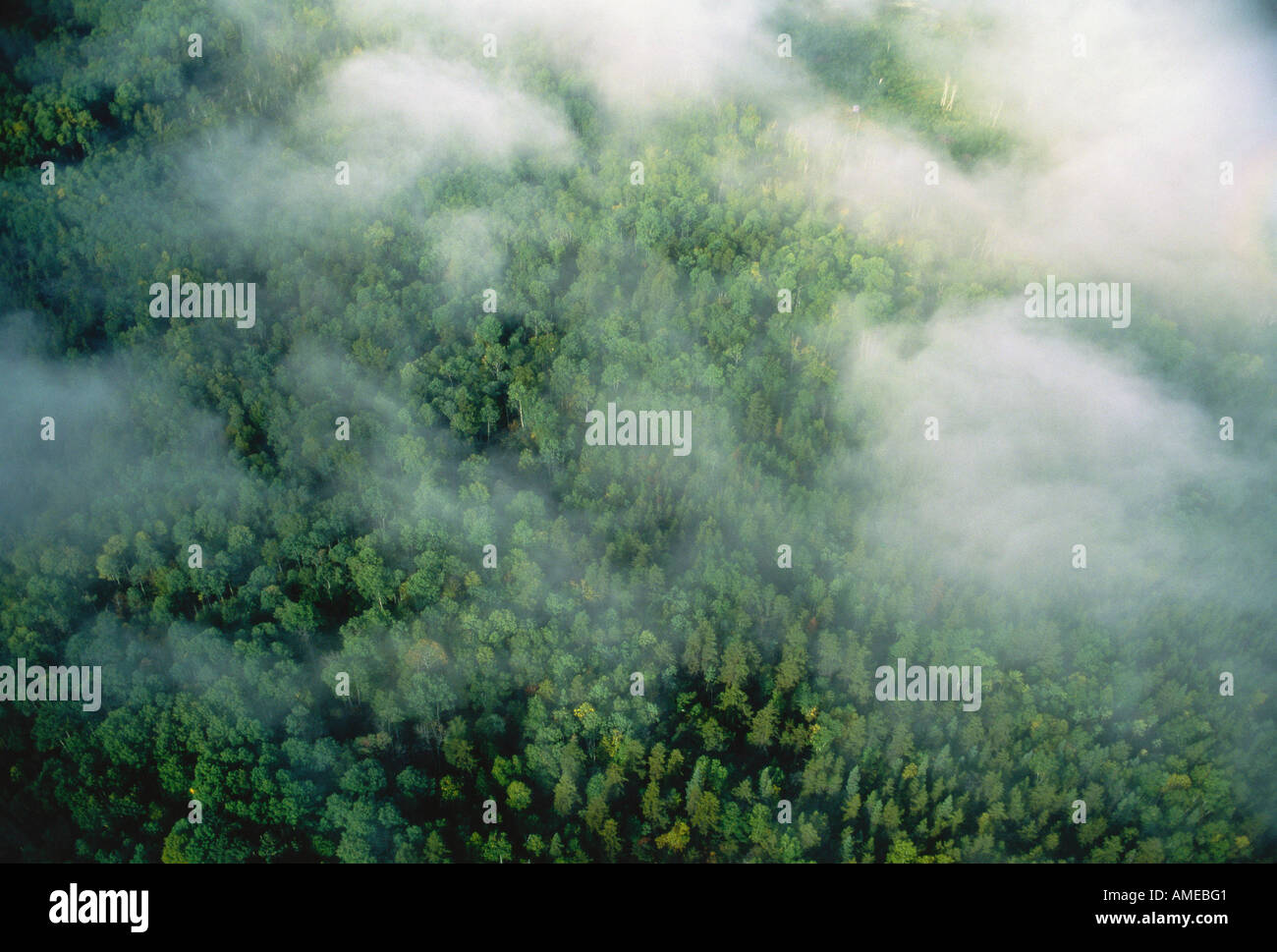 Aerial View of Forest Quebec, Canada Stock Photo - Alamy