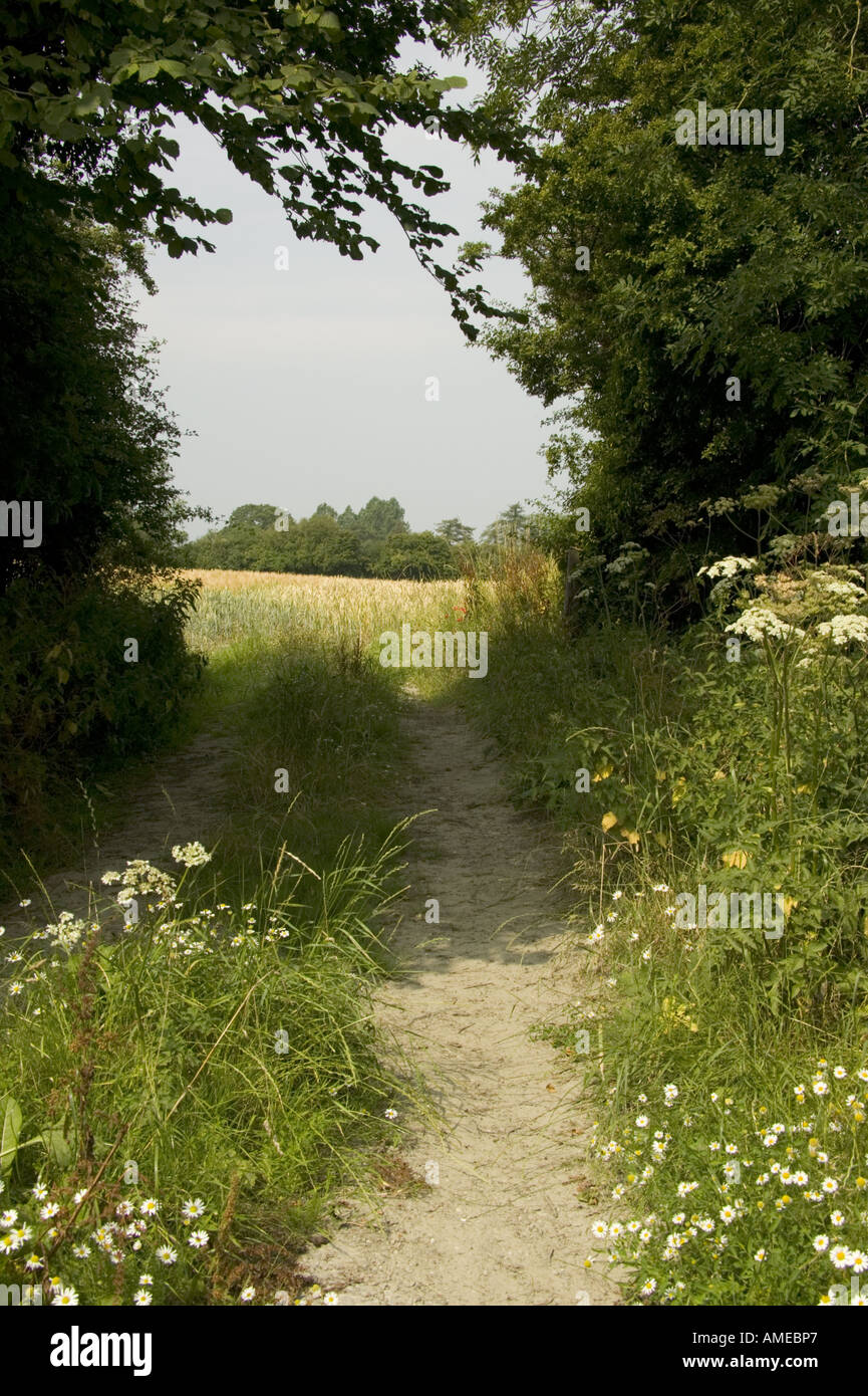 Farmers path hi-res stock photography and images - Alamy