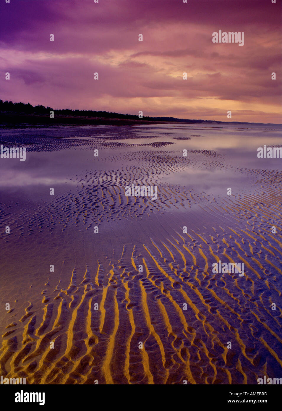 Naikoon Provincial Park at Dusk Queen Charlotte Islands British ...