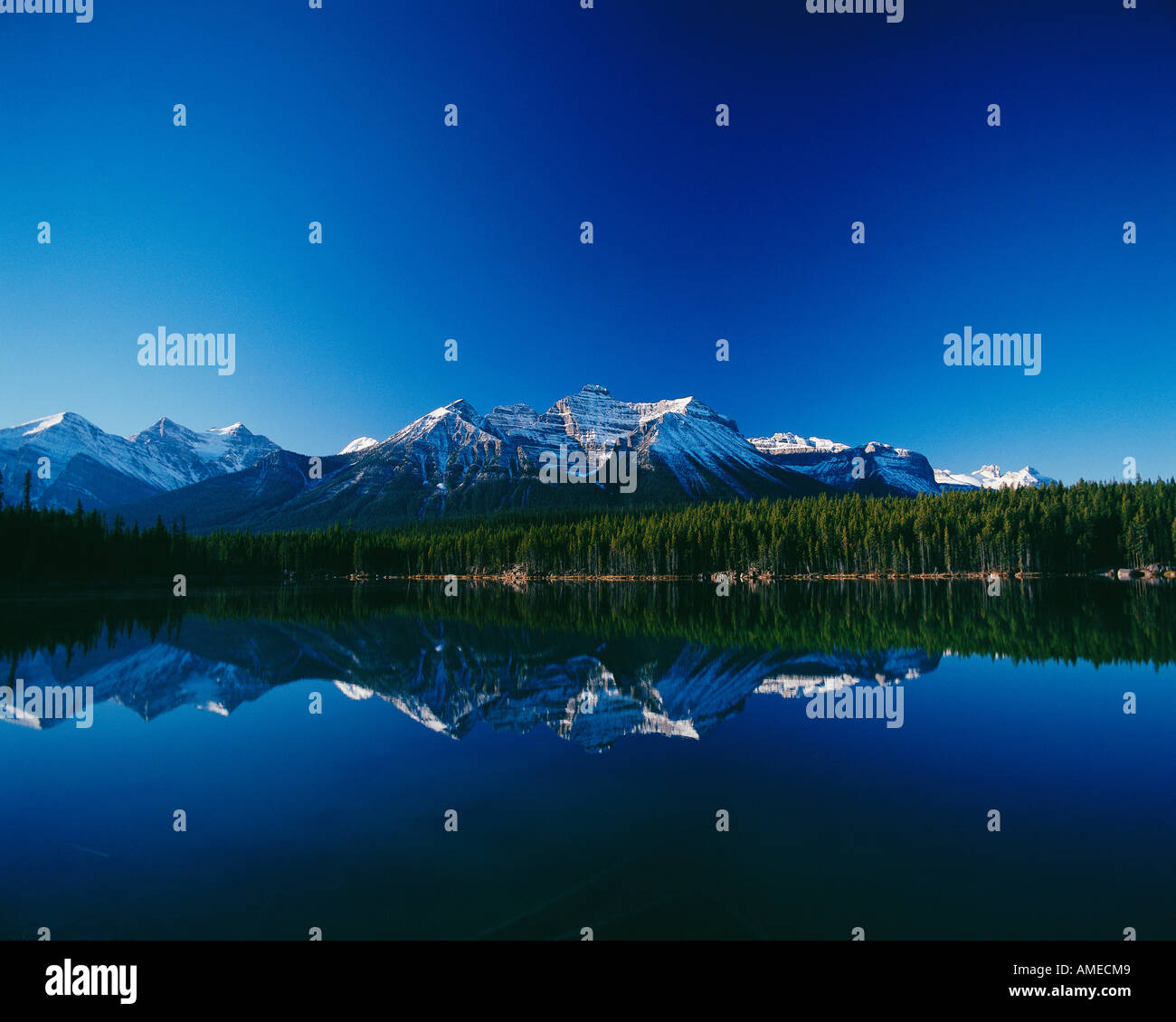 Herbert Lake, Jasper Parkway Banff National Park Alberta, Canada Stock ...