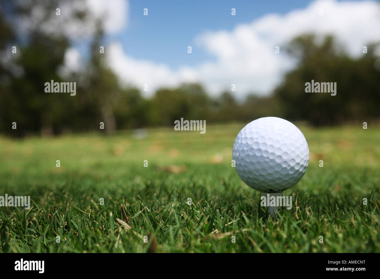 The game of golf Stock Photo - Alamy