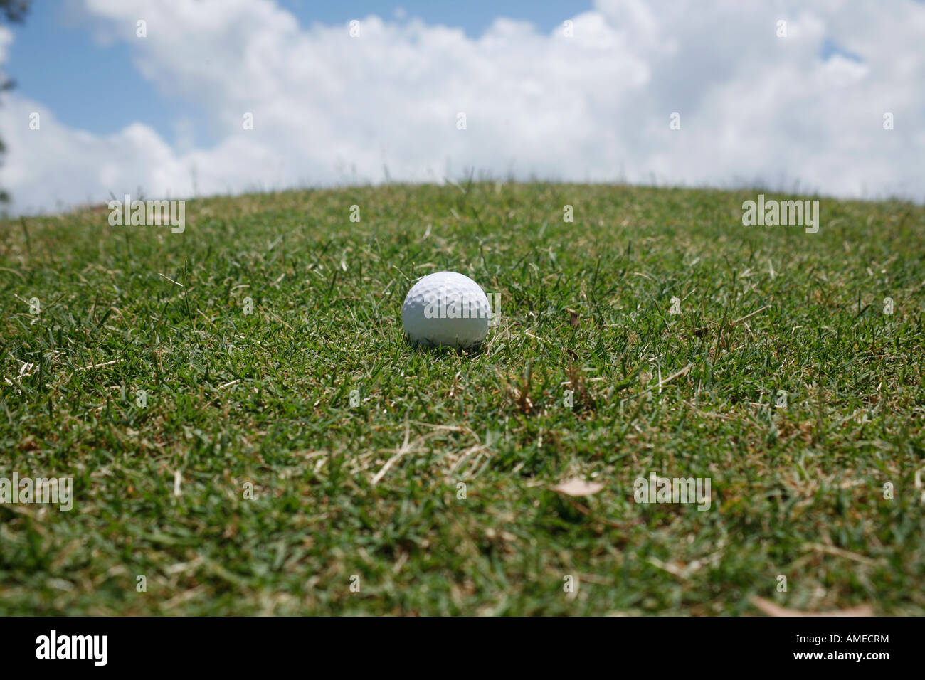 The game of golf Stock Photo - Alamy