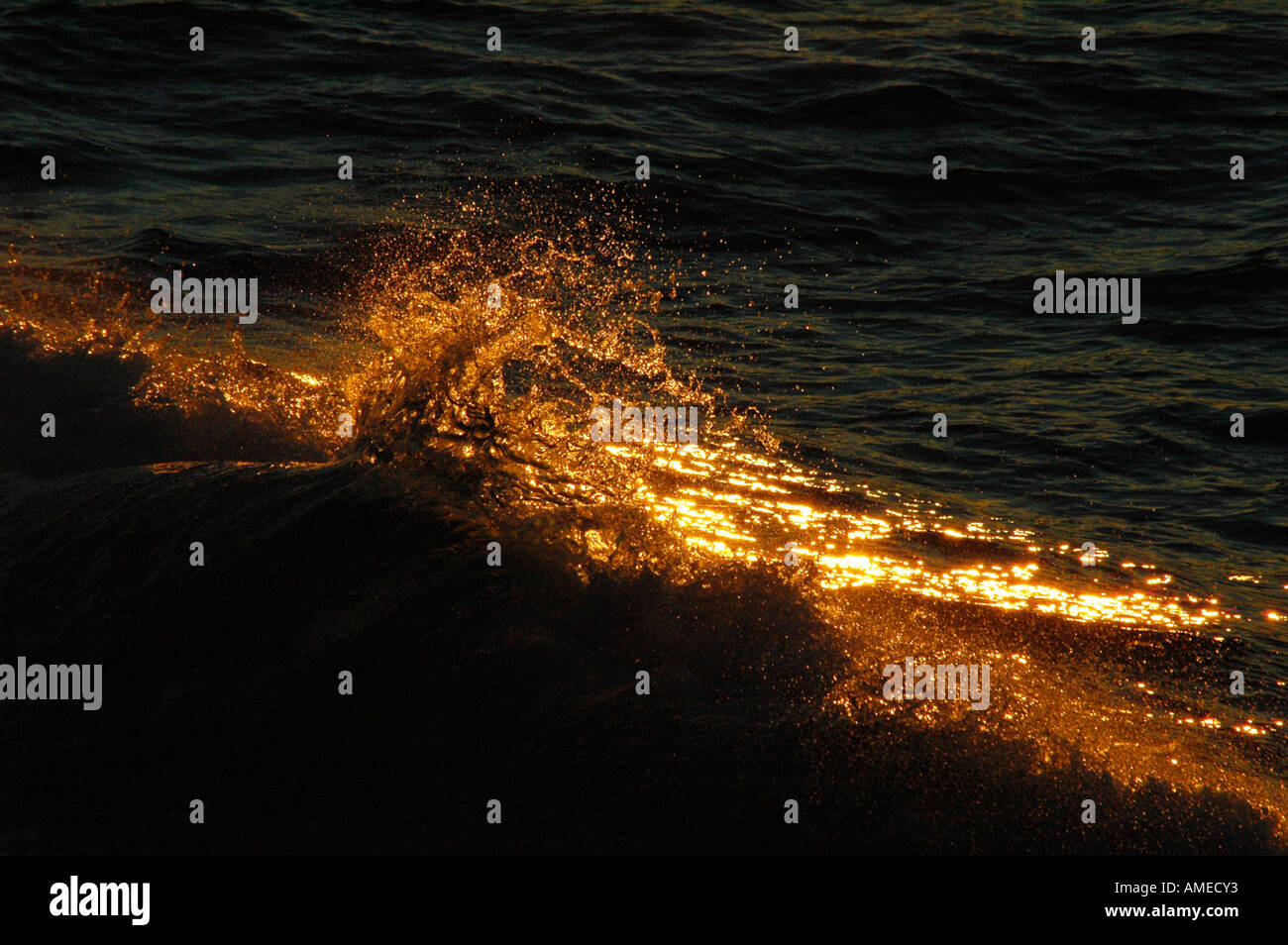 Red wave in sunset light, Antarctica Stock Photo - Alamy