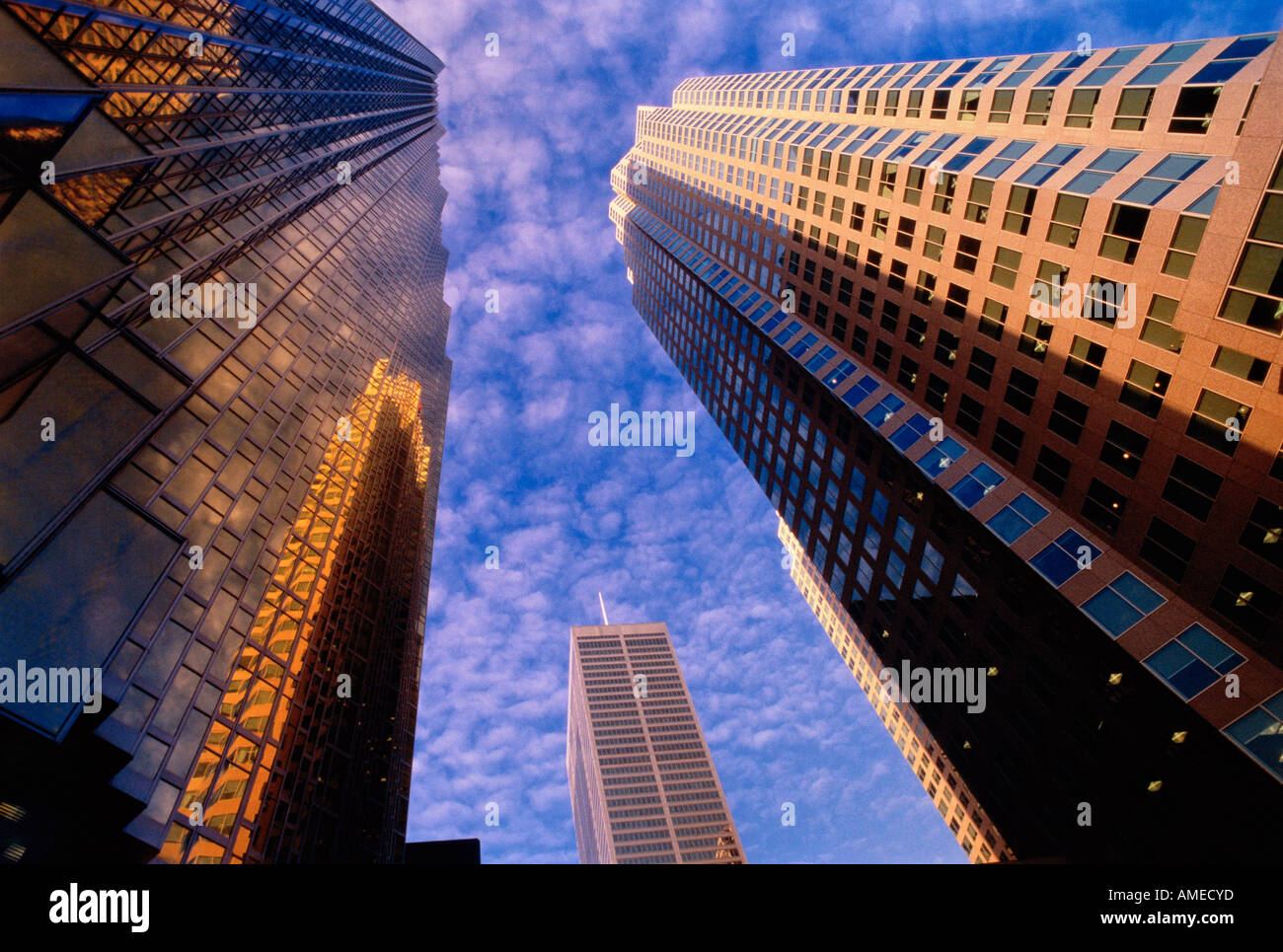 Looking Up at Office Towers Toronto, Ontario, Canada Stock Photo - Alamy