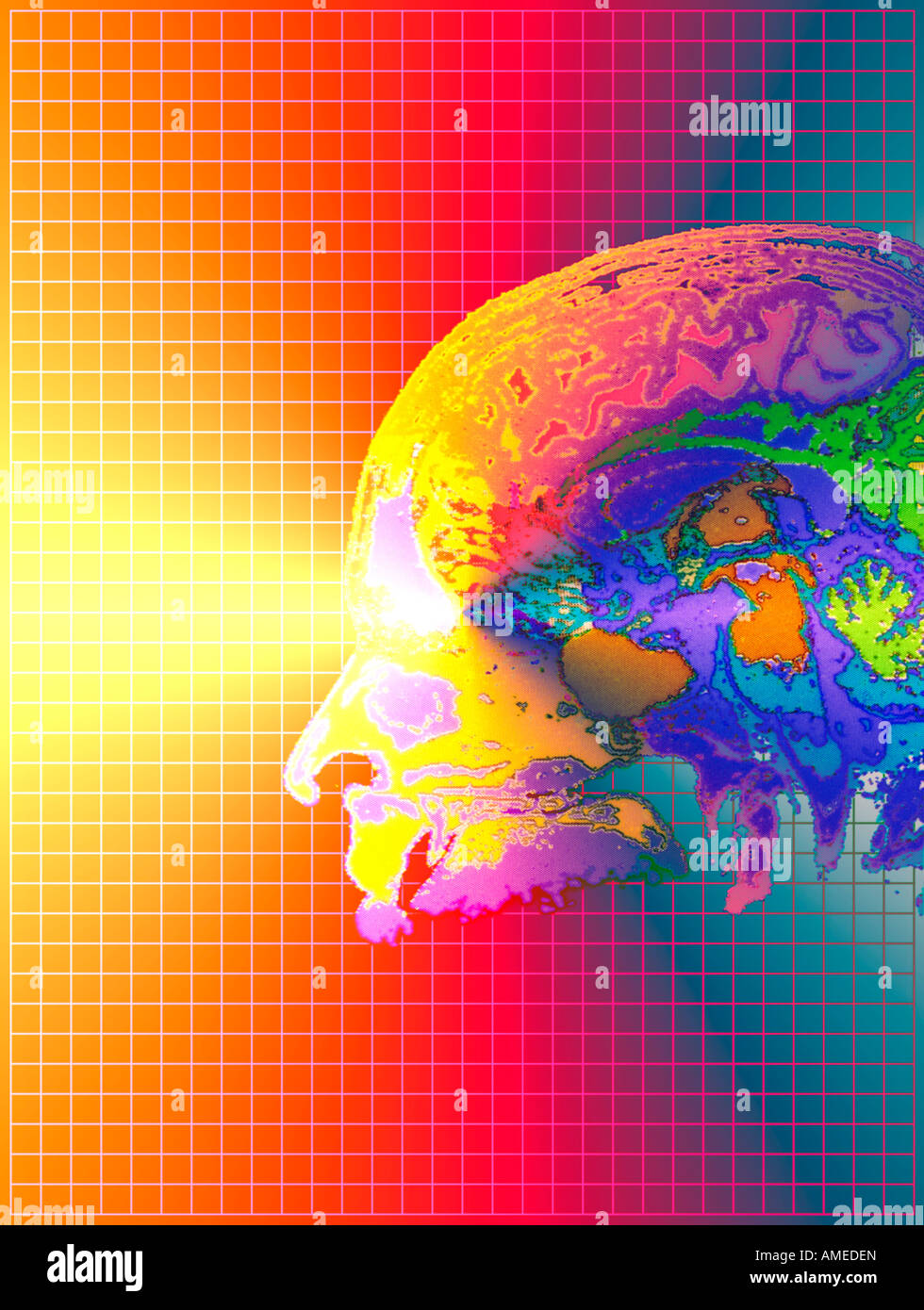 x-ray of human skull with color code Stock Photo - Alamy