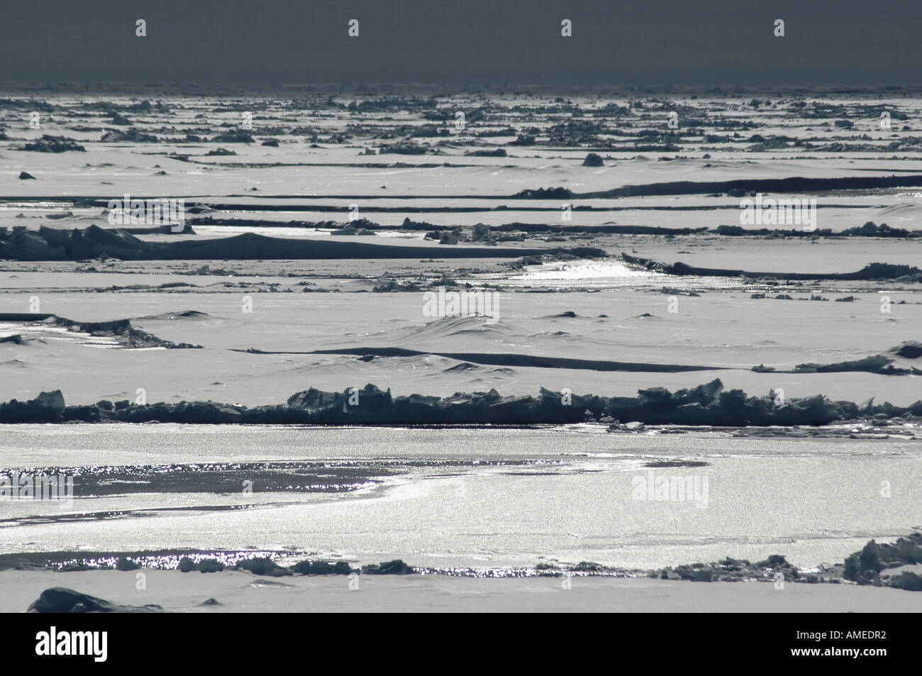 Antarctic pack ice in back light, Antarctica Stock Photo - Alamy