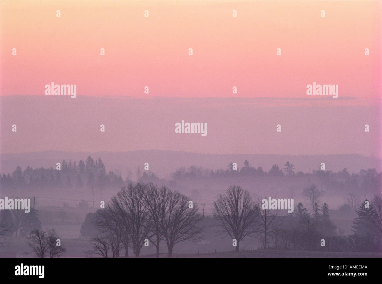 Overview of Trees and Landscape In Winter at Sunset Ontario, Canada ...