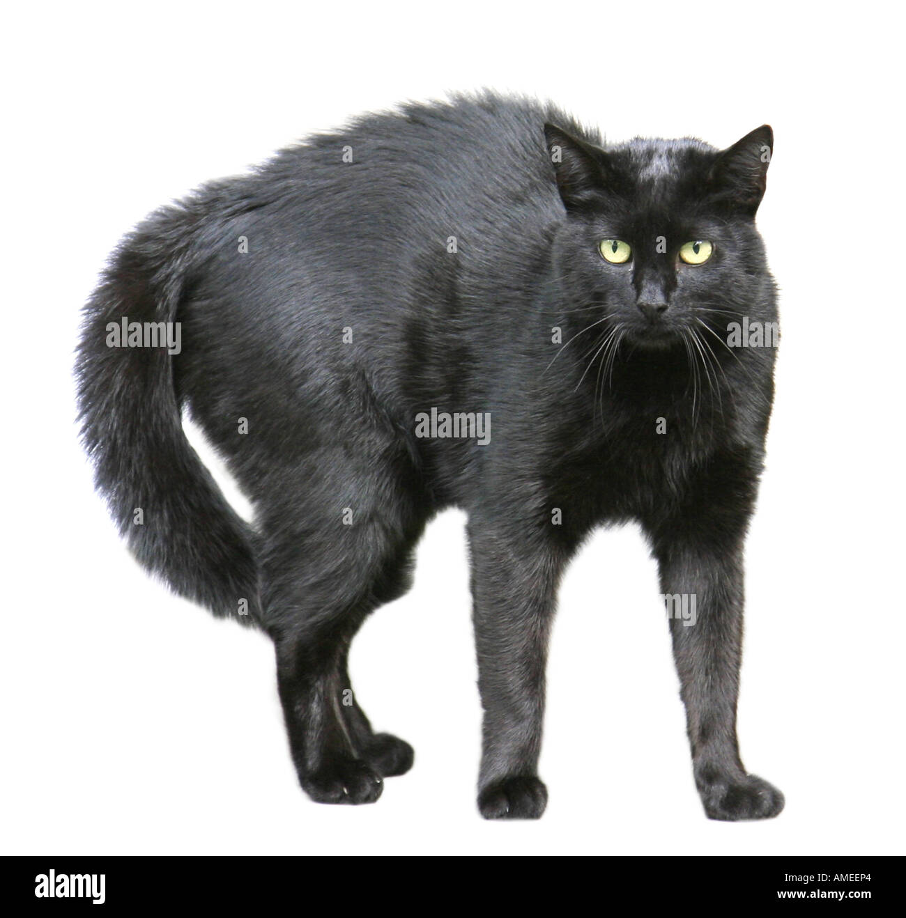 Bad posture arch hi-res stock photography and images - Alamy