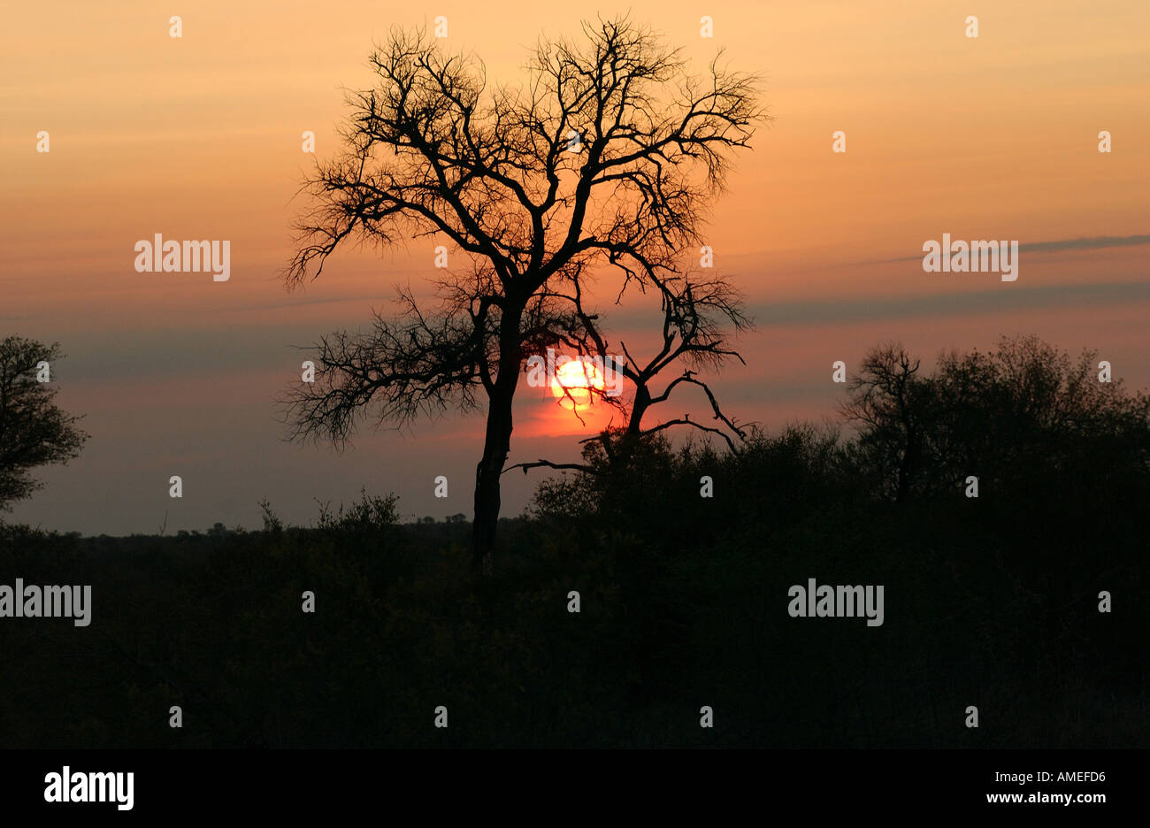 African skylines hi-res stock photography and images - Alamy