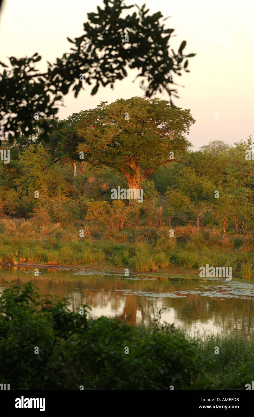 Lowveld landscapes hi-res stock photography and images - Alamy