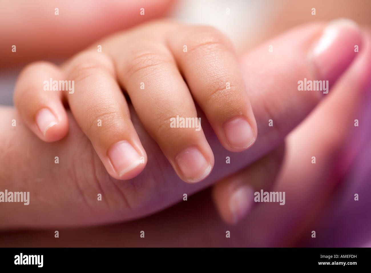 Hand wrapped around finger hi-res stock photography and images - Alamy