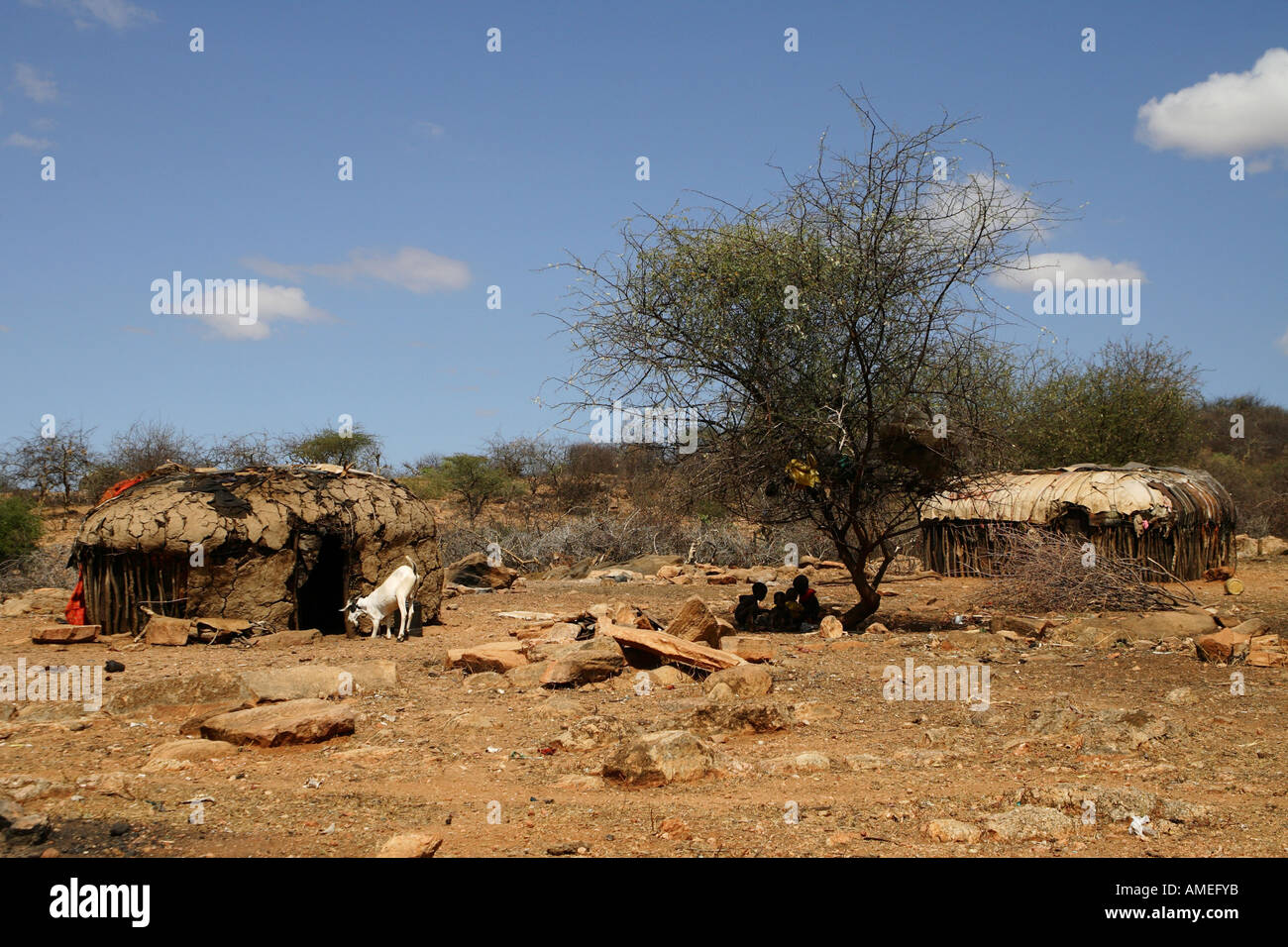 Samburus hi-res stock photography and images - Alamy